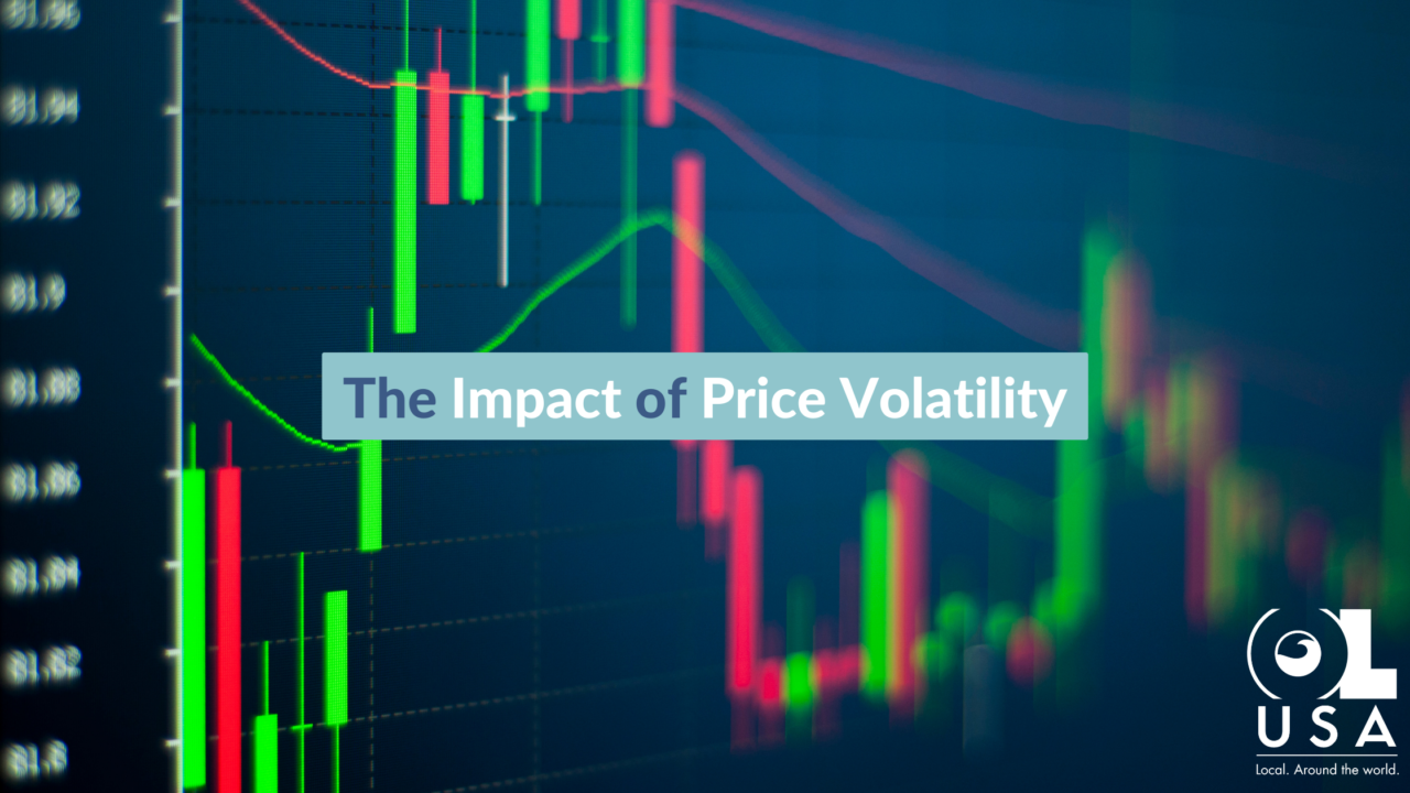 The Impact of Price Volatility